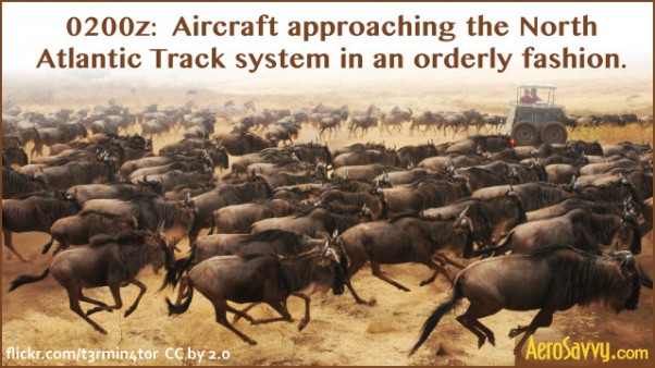 NATs: Flying the North Atlantic Organized Track System ...